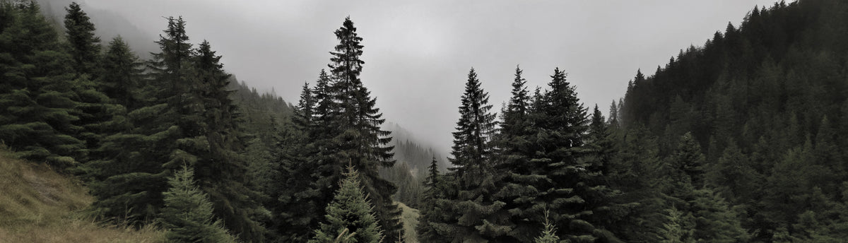 Iphéa Myco-Cosmétiques